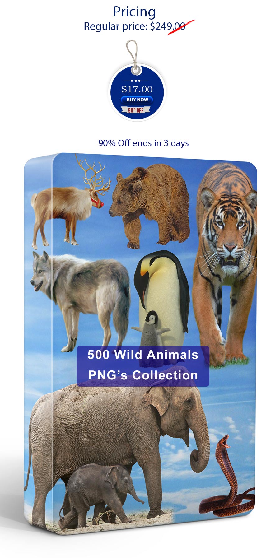 500 Animals